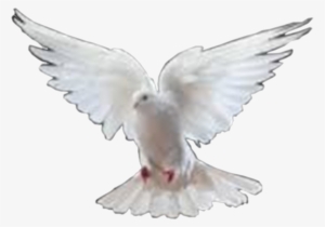 Hawk And Dove Vol - Hawk And Dove Logo Png PNG Image | Transparent PNG ...