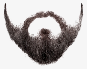 Beard Png - Long Beard Transparent PNG Image | Transparent PNG Free ...