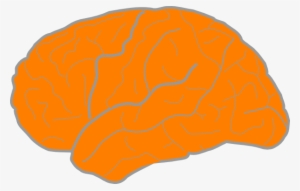 How To Set Use Orange Brain Clipart PNG Image | Transparent PNG Free ...