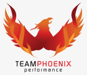 Team-phoenix - Phoenix PNG Image | Transparent PNG Free Download on SeekPNG