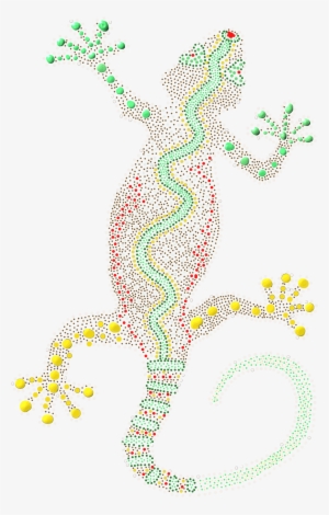 Big Image - Vertebrate PNG Image | Transparent PNG Free Download on SeekPNG