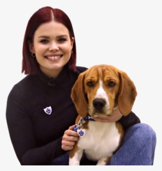 Blue Peter - Beagle PNG Image | Transparent PNG Free Download on SeekPNG