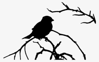 Exotic Tree And Bird Silhouette Png Clip Art Image - Tree Birds ...