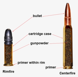 Inside Cartridges - Inside Of A Rifle Round PNG Image | Transparent PNG ...