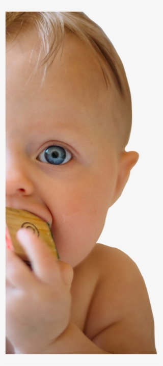 Vector Transparent Stock Baby Face Clipart - Cartoon Face No Hair PNG ...