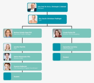 People - Parallel PNG Image | Transparent PNG Free Download on SeekPNG