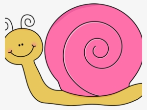Download Snail Clipart Colorful - Clip Art | Transparent PNG Download ...