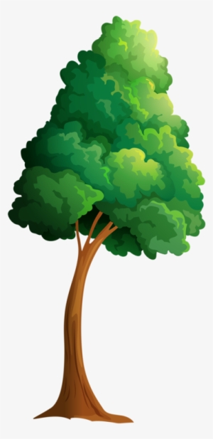 Ashoka Tree Png Download - Arbre Chakra PNG Image | Transparent PNG ...