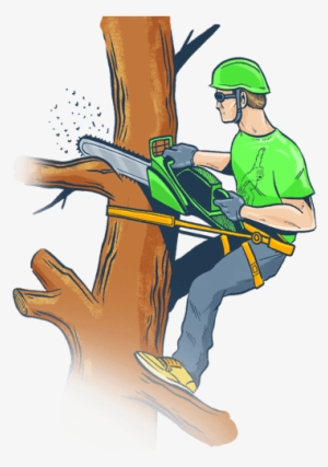 Tree Service Clip Art PNG Image | Transparent PNG Free Download on SeekPNG