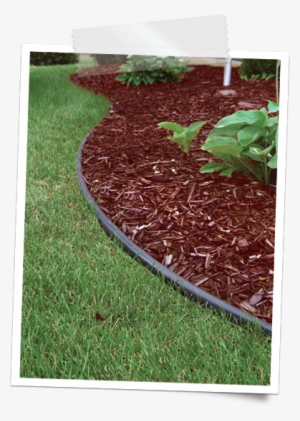 Lawn Clipart Grass Edge - Pocono Mountains PNG Image | Transparent PNG ...