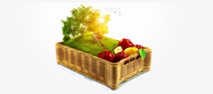 My Vitamins - Jpeg PNG Image | Transparent PNG Free Download on SeekPNG