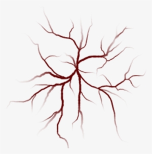 Red Veins Psd - Red Eye Veins Png PNG Image | Transparent PNG Free ...