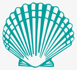 Clam Shell Png - Clam Shell Clip Art PNG Image | Transparent PNG Free ...