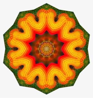 Actiniae Drawing Symmetry Computer Icons Sea Anemone - Drawing PNG ...