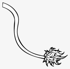 Lion Tail Vector