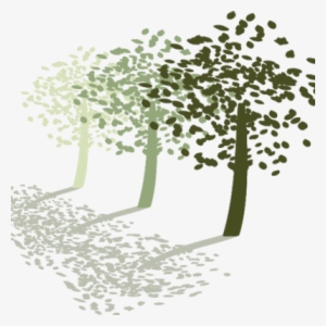 Olive Tree Trees - Olive Tree Cad Block PNG Image | Transparent PNG ...