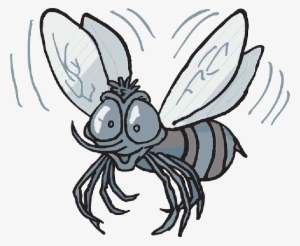 Mb Image/png - Mexican Fruit Fly Cartoon PNG Image | Transparent PNG ...