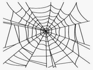 Spider Man Web Design