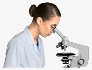 Free Png Scientist Png Images Transparent - Scientist Research Png PNG ...