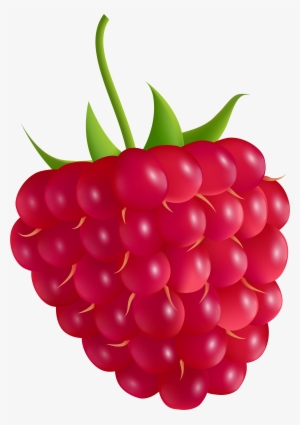 Raspberry Clipart At Getdrawings - Clip Art Raspberry PNG Image ...