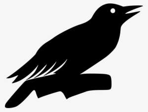 Crow Raven Brid Black Comments - Crow Icon Png PNG Image | Transparent ...