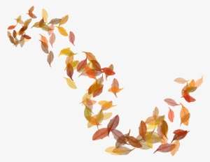 Fall Leaves Png, Garden - Autumn Leaves Png Transparent PNG Image ...