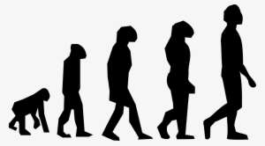 Clip Freeuse Transparent Human Evolving - Theory Of Evolution Png PNG ...