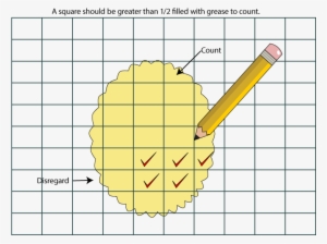 Potato Chip Diagram - Potato Chip PNG Image | Transparent PNG Free ...