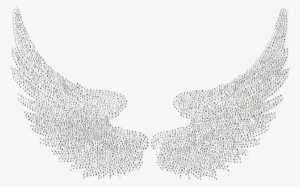 S2578s Clr medium All Clear Wings - Insect Wing PNG Image | Transparent ...