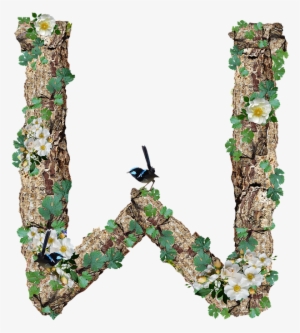 Alphabet, Letter, W, Rustic, Timber, Bark - Alphabet PNG Image ...