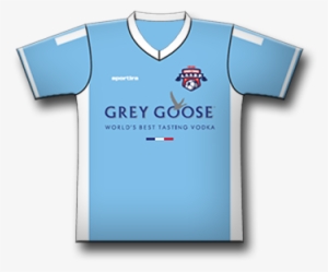 Nyfc Grey Goose - Grey Goose PNG Image | Transparent PNG Free Download ...