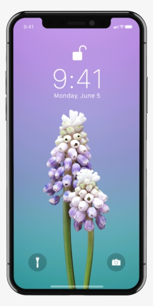 Iphone X - Transparent Background Iphone X Png PNG Image | Transparent ...