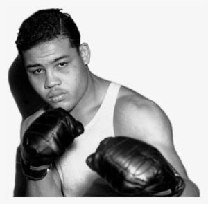 Joe Louis Arena Commemorative Shoulder Patch - Farewell To The Joe ...