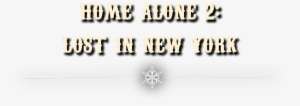 Home Alone - Home Alone 2: Lost In New York PNG Image | Transparent PNG ...