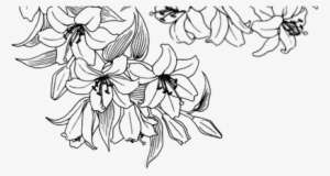 28 Collection Of Heaven Drawing Tumblr - Lockscreen Tumblr Anime PNG ...