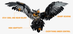 Asus Strix Owl Gif PNG Image | Transparent PNG Free Download on SeekPNG