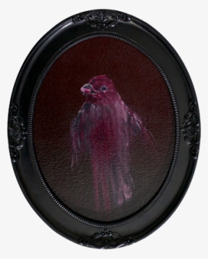 House Finch PNG Image | Transparent PNG Free Download on SeekPNG