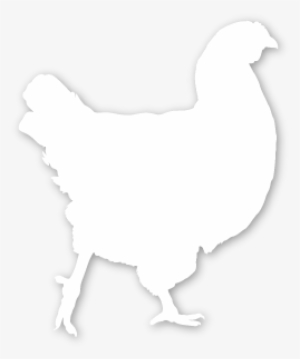 Live Chicken 1kg - Chicken Animal PNG Image | Transparent PNG Free ...