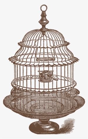 Jpeg - Birdcage PNG Image | Transparent PNG Free Download on SeekPNG