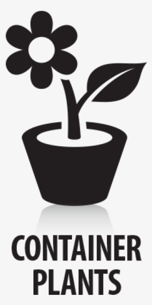 Container-plants - Illustration PNG Image | Transparent PNG Free ...