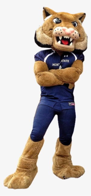 Download Daytona State College Mascot | Transparent PNG Download | SeekPNG