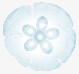 Sand Dollar PNG Image | Transparent PNG Free Download on SeekPNG
