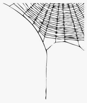 Spider Web Clipart Without Background