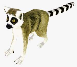 Download Zip Archive - Madagascar Cat PNG Image | Transparent PNG Free ...
