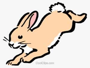 Cartoon Rabbit - Animals That Move Fast Clipart PNG Image | Transparent ...