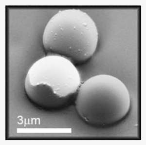 Wetting Properties Of Pt-coated Particles At Water/oil - Monochrome PNG ...