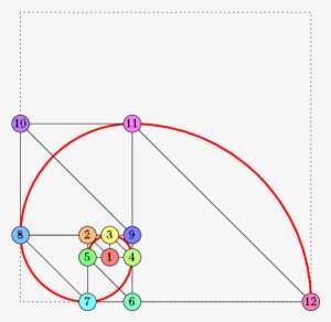 Golden Ratio - Golden Spiral PNG Image | Transparent PNG Free Download ...