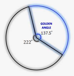 137.5 Degrees Golden Angle PNG Image | Transparent PNG Free Download on ...