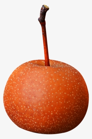 Asian Pear Fruit With Stem Png Image - Asian Pear Red PNG Image ...