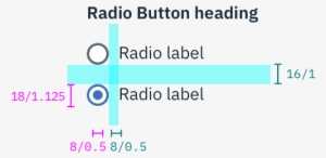 Structure And Spacing Measurements For A Radio Button - Radio Button ...
